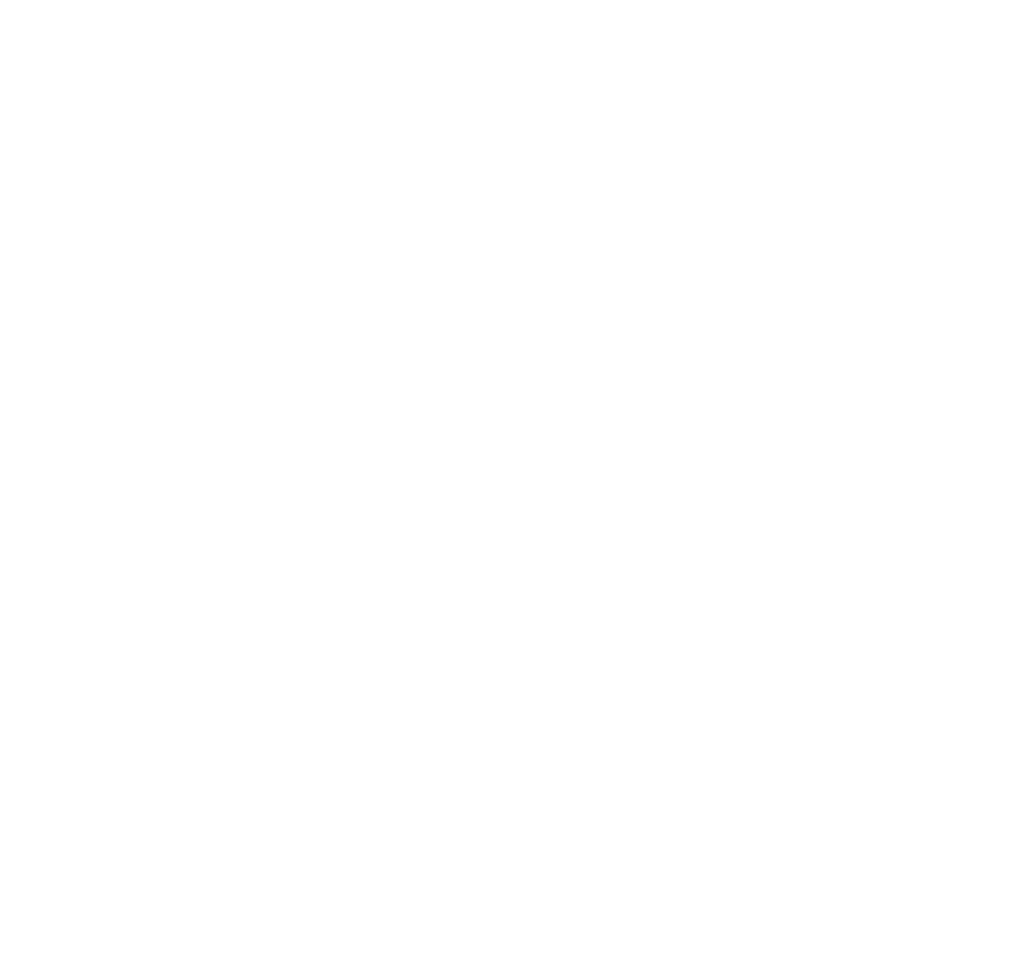 About - PSI Sports Inc